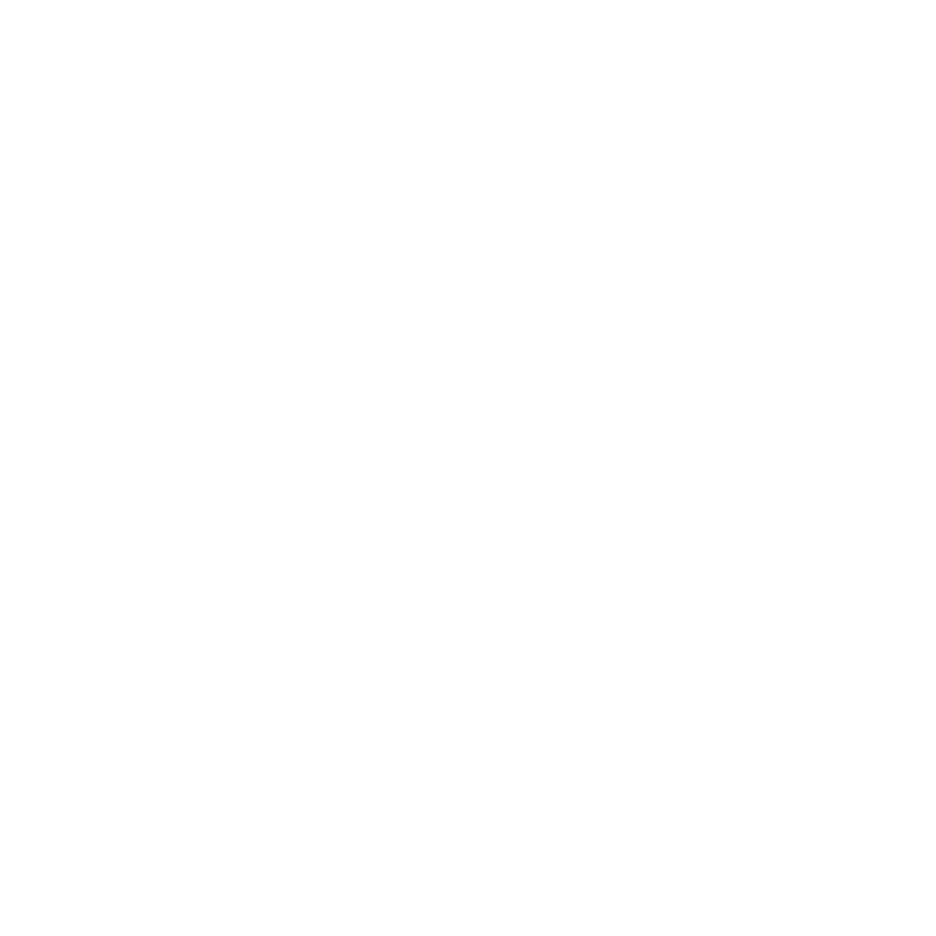 Apex Steel & Technology India Pvt Ltd